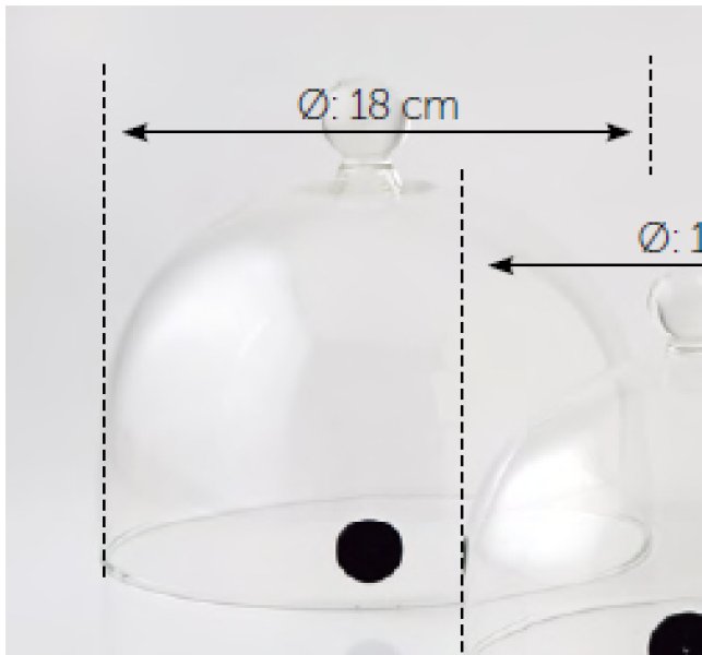 ALADIN COVER | Worldwide